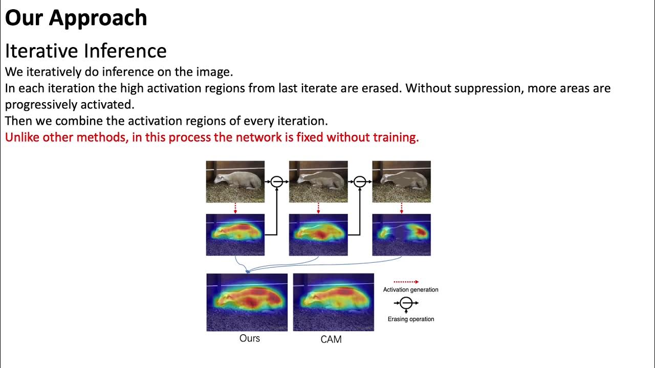 Inferring the Class Conditional Response Map for Weakly Supervised Semantic Segmentation - YouTube