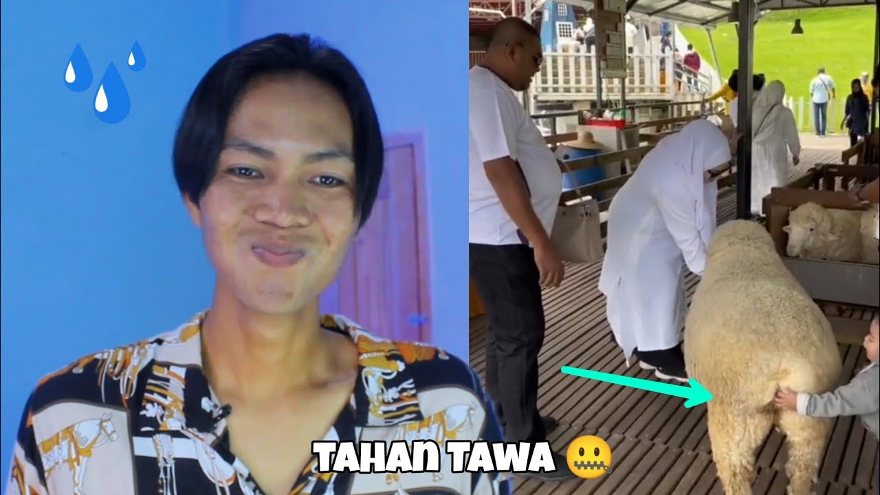 tahan Tawa 🤐 #2 - YouTube