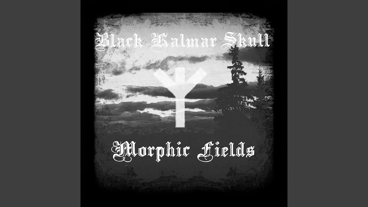 Morphic Fields - YouTube