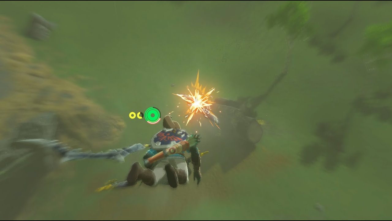 TotK Islander Hawk Death Animation - YouTube