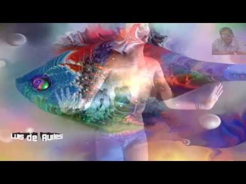 Chris Spheeris   Culture ‫‬