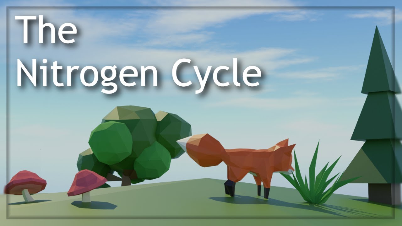 The Nitrogen Cycle - 3D Animation - YouTube