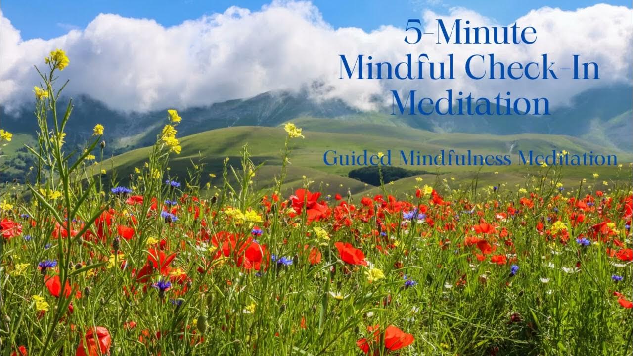 5 Minute Mindful Check-In Meditation - YouTube