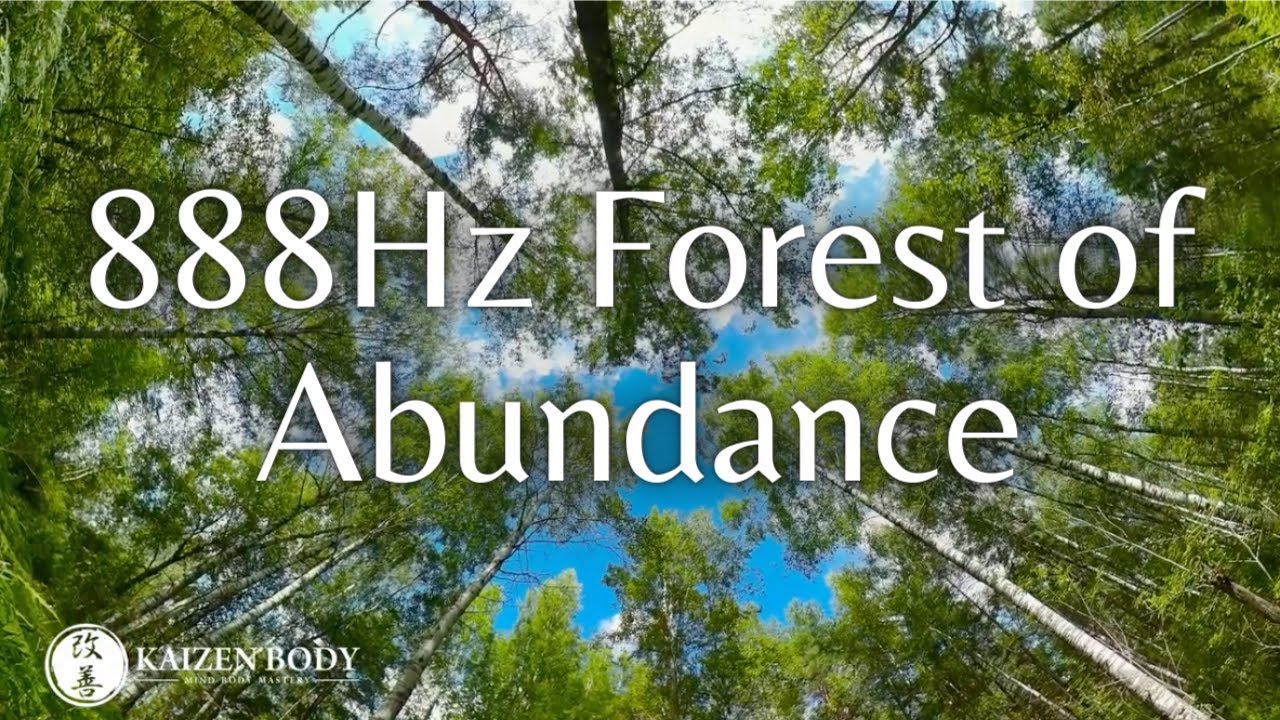 888Hz Forest Of Abundance | Nature Sounds | Forest Sound | Abundance ...