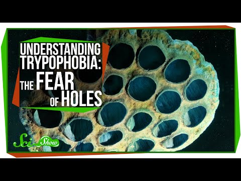 Understanding Trypophobia: The Fear of Holes