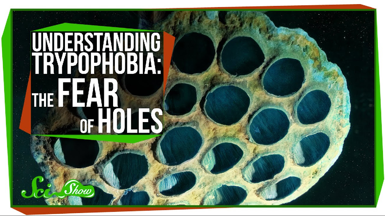 Real Trypophobia Triggers: Nature's Unsettling Patterns - Discovermagz.blog