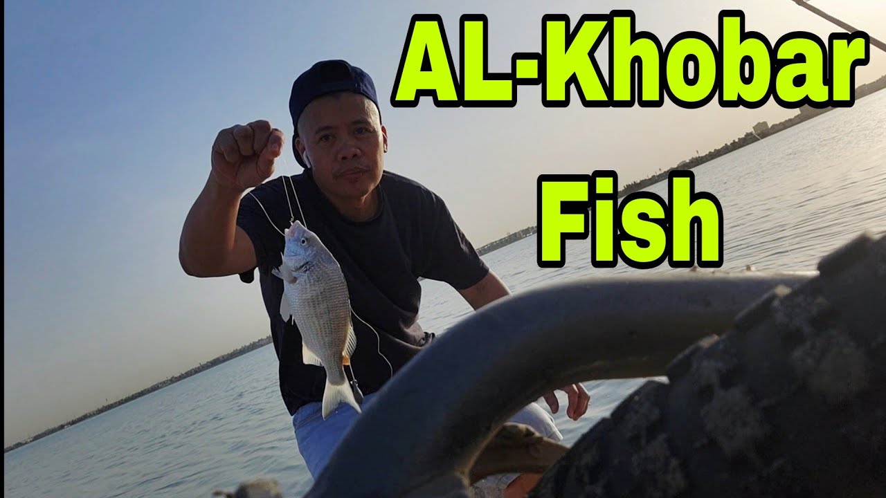Al Khobar Fish! Maraming pala isda sa Saudi AL-Khobar Eastern Province ...