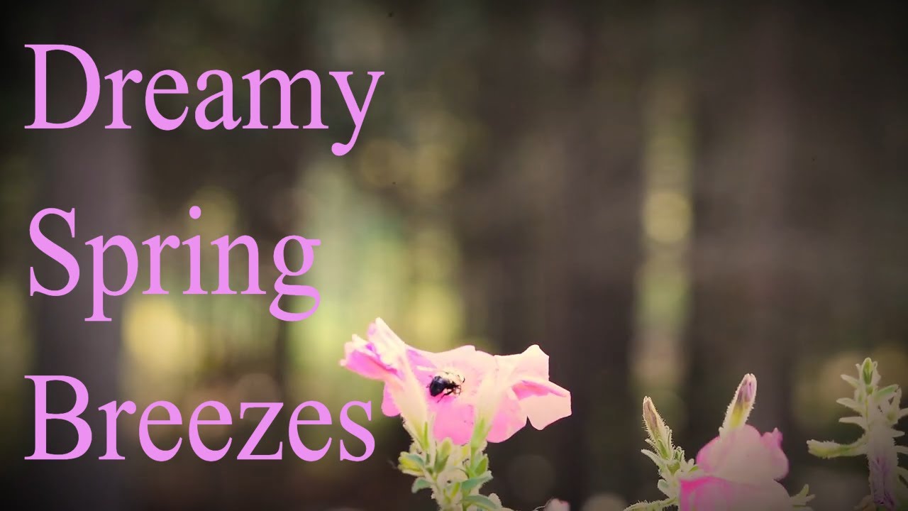 Dreamy Spring with Bees Buzzing and Birds Singing - YouTube