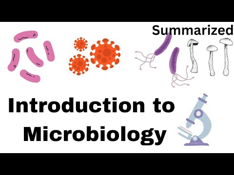 Introduction to Microbiology l Microbiology Summarized l What is ...
