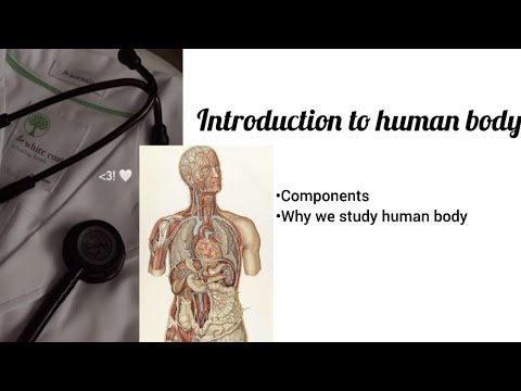 introduction to human body | starting from the beginning - YouTube
