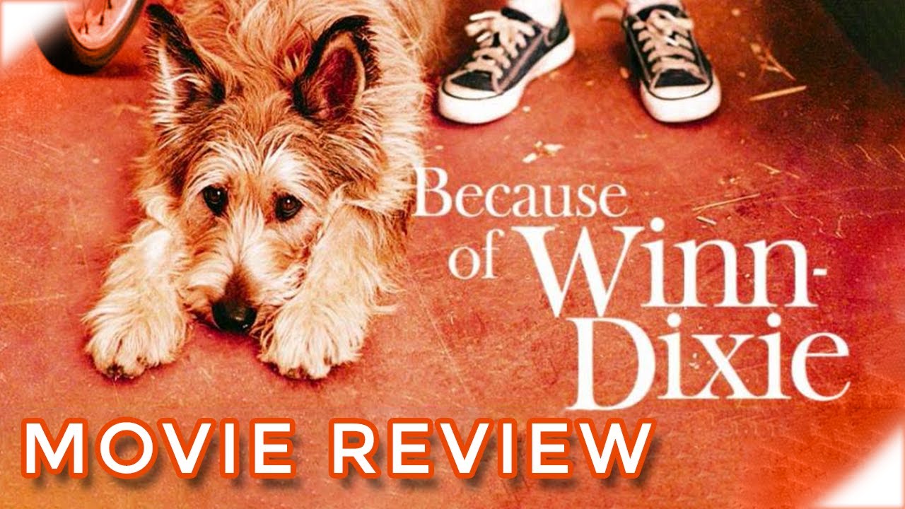 Because of Winn-Dixie | Still Frame Review - YouTube