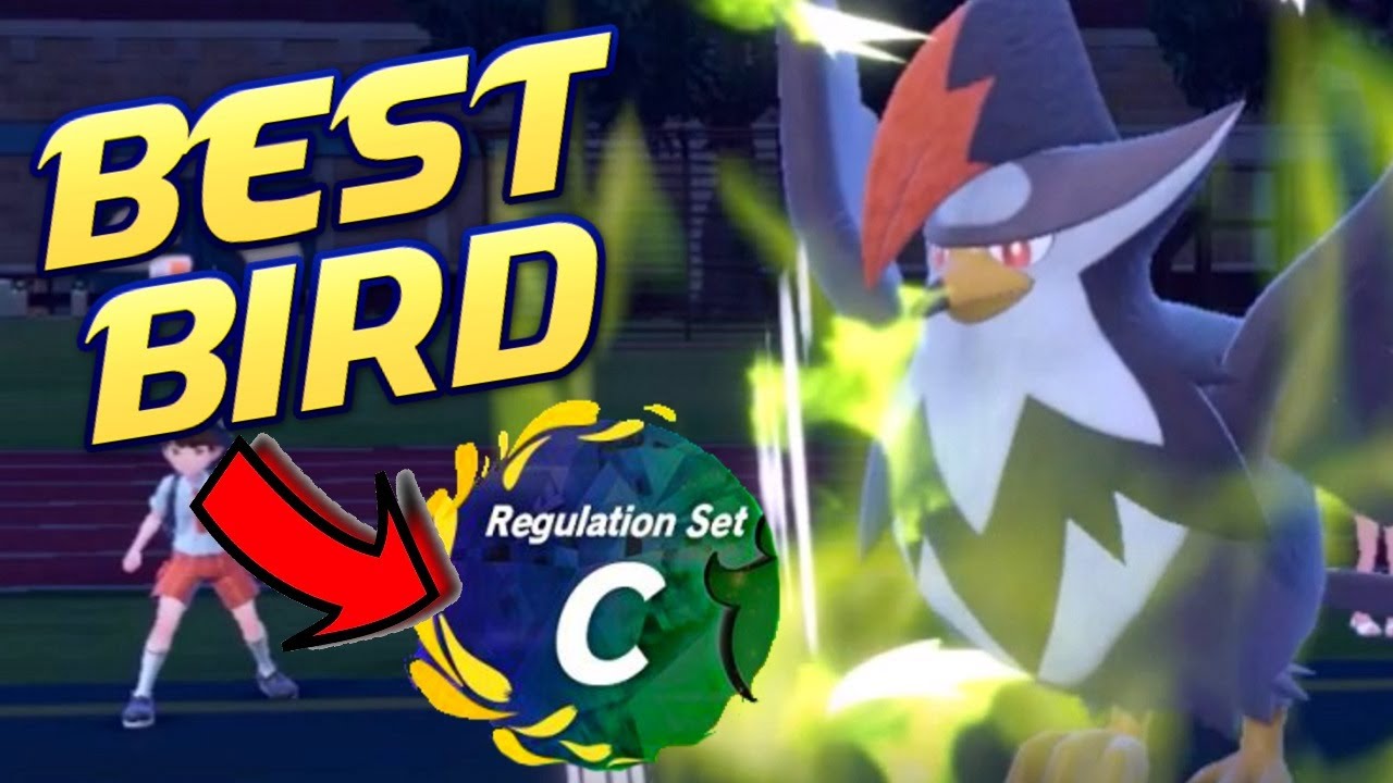 BEST Regulation C BIRD Pokemon! Scarlet and Violet VGC Competitive ...
