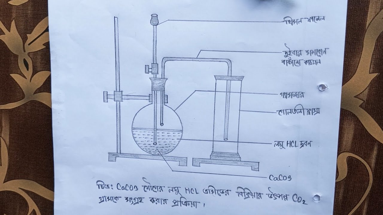 SSC Chemistry Practical Drawing |রসায়ন প্র্যাকটিক্যাল | HCl ও CaCO₃ এর ...
