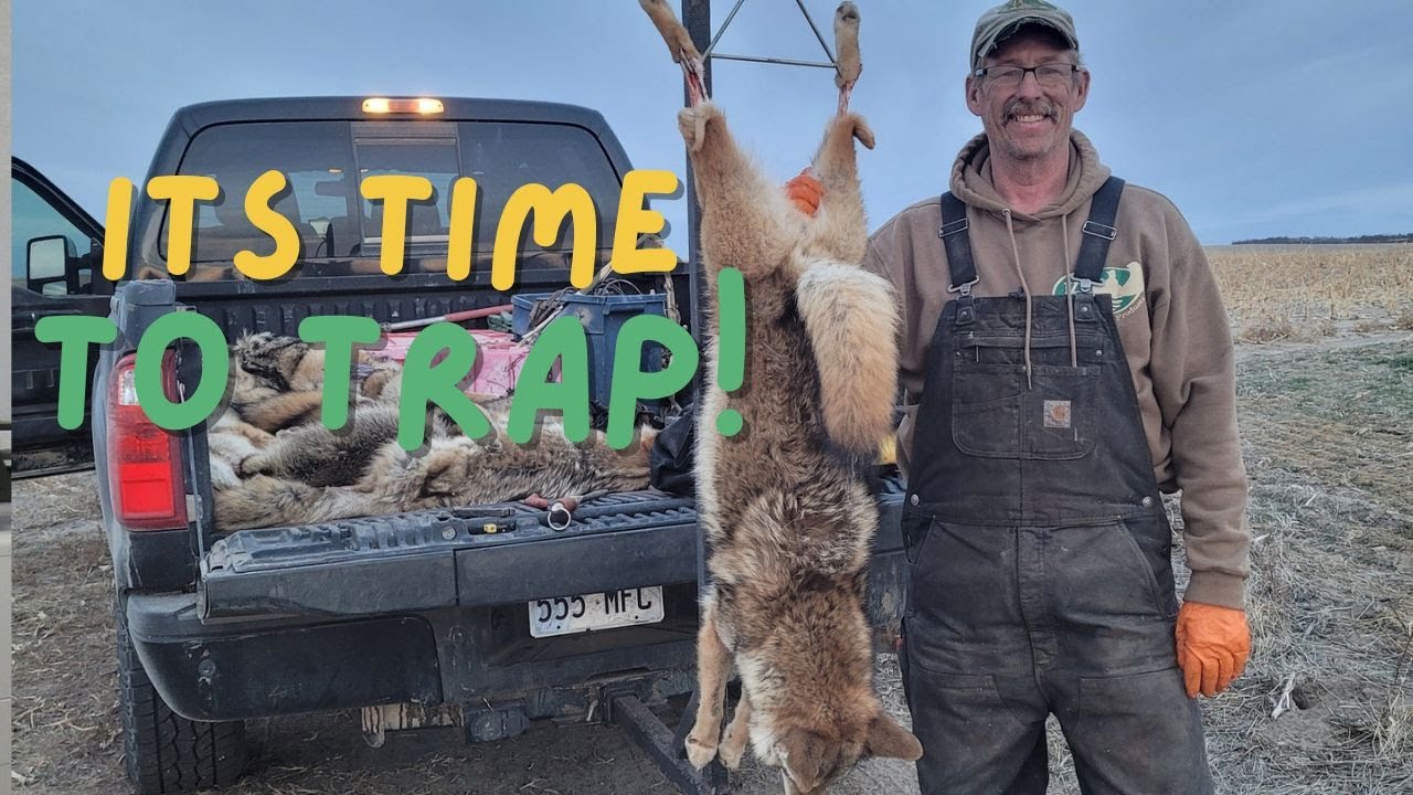 Time To Start Trapping Again! - YouTube