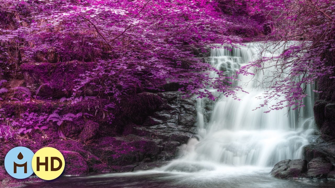 Mindfulness Music, Nature Meditation Music, Calm Instrumental ...