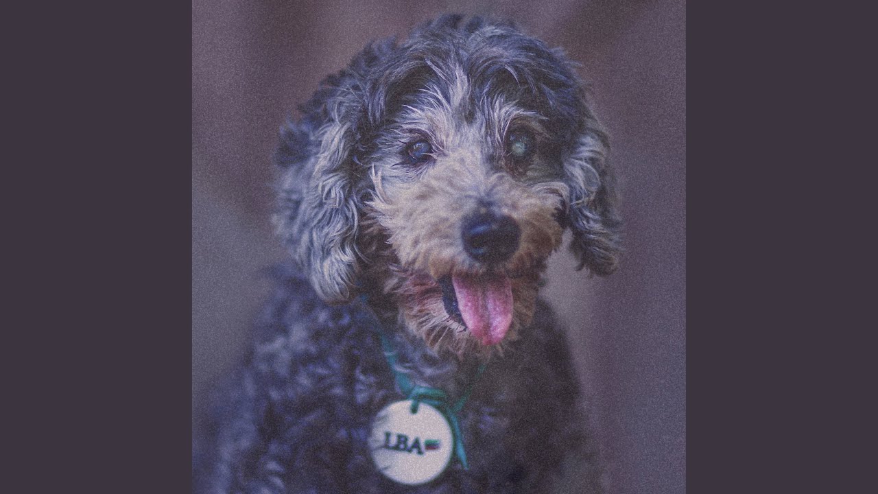 Oda a Mr. Clancy - YouTube