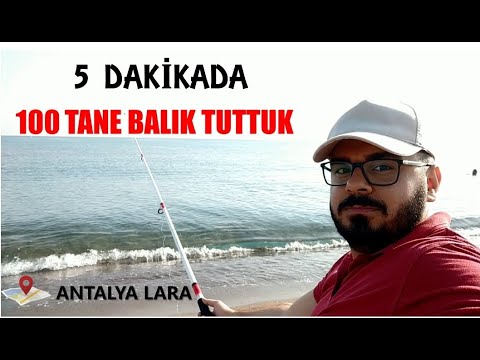 5 DK. DA 100 TANE BALIK TUTTUK || KOLAY BALIK NASIL TUTULUR || ANTALYA LARA