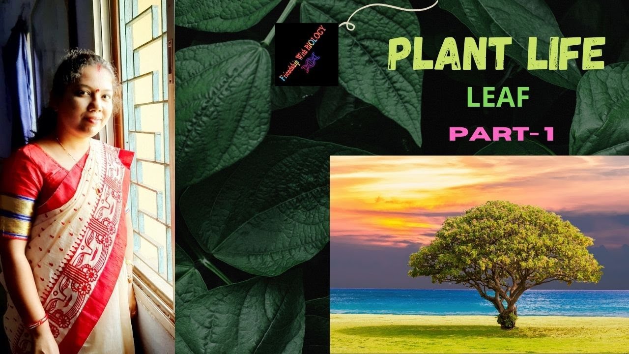 Plant Life | Class 6 | ICSE| BIOLOGY | PART -1 - YouTube