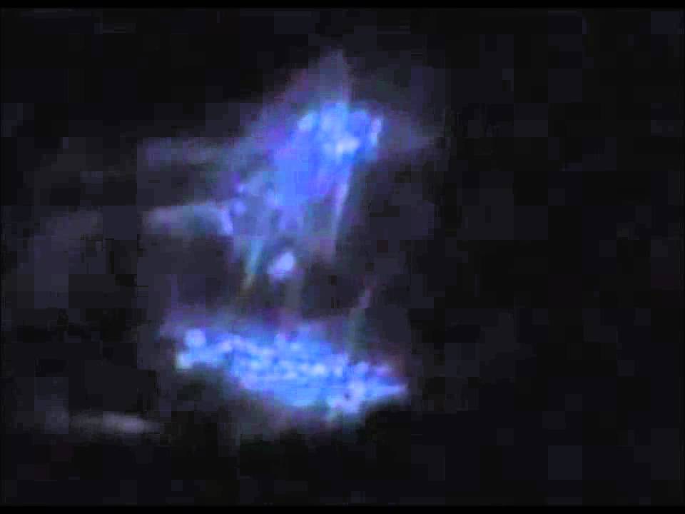 JOEREYNA ALFIE REYNA EPSILON BOOTIS - YouTube