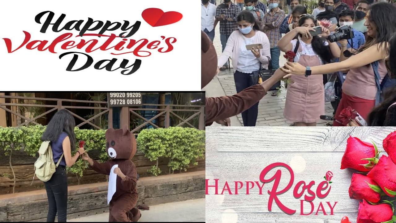valentines day special ( Happy Rose Day) Mr teddy giving Rose to the ...