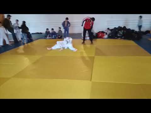 Judo brosok