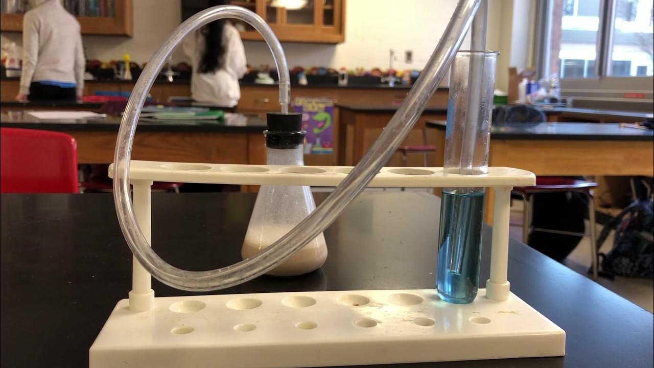 Bromothymol Blue Cell Respiration - Part 1 - YouTube