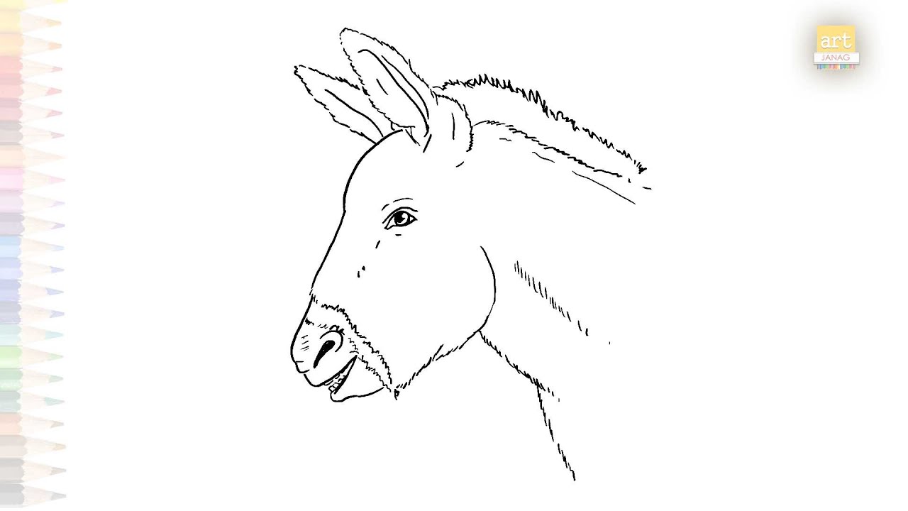 Donkey head easy drawing | Animal drawing tutorial | How to draw A ...