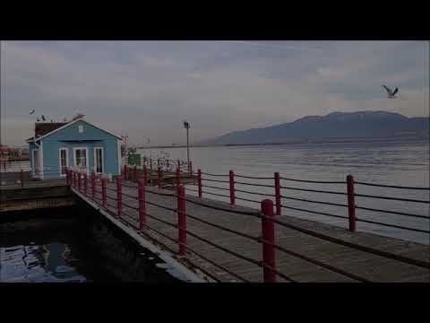 sekaparkta uçan kuşlar