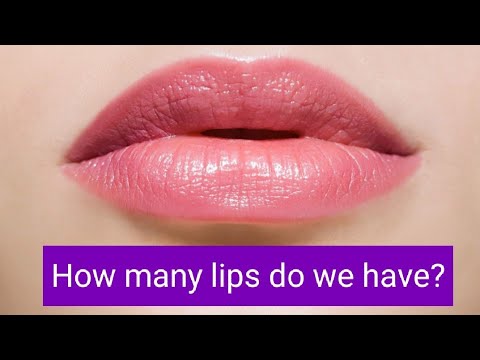 How many lips do we have? - YouTube