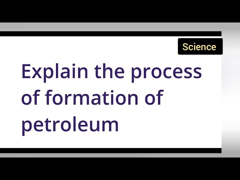 explain the process of formation of petroleum | class 8th science - YouTube