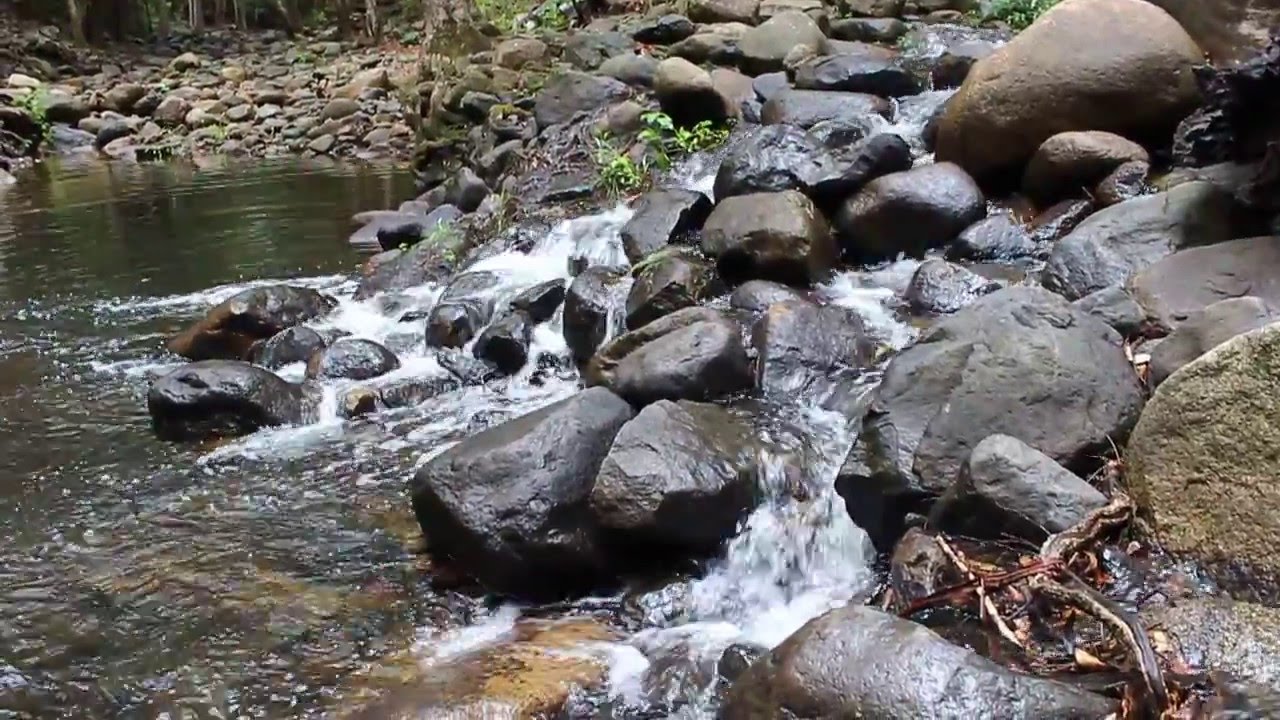 Cedar Creek, Moreton Bay Region, Qld, Australia - YouTube