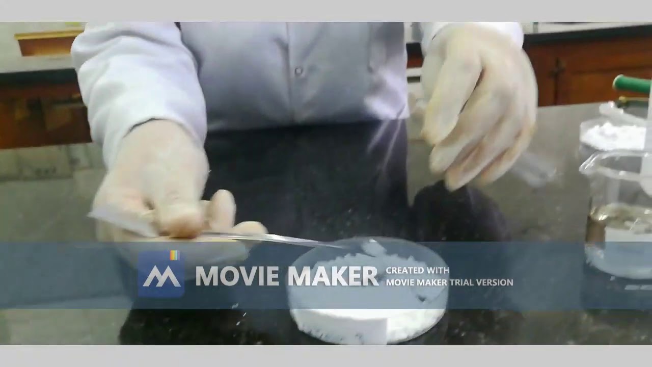 Organic Extraction Lab