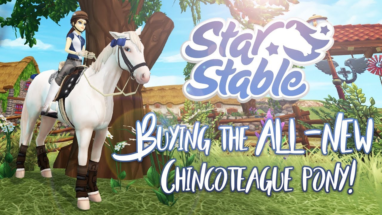 Buying the NEW Chincoteague pony! | Star Stable Updates - YouTube