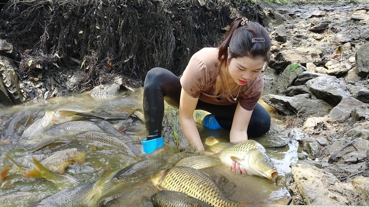 Amazing Fishing / Hunting Wild Fish / Unique Fishing / Fishing ...