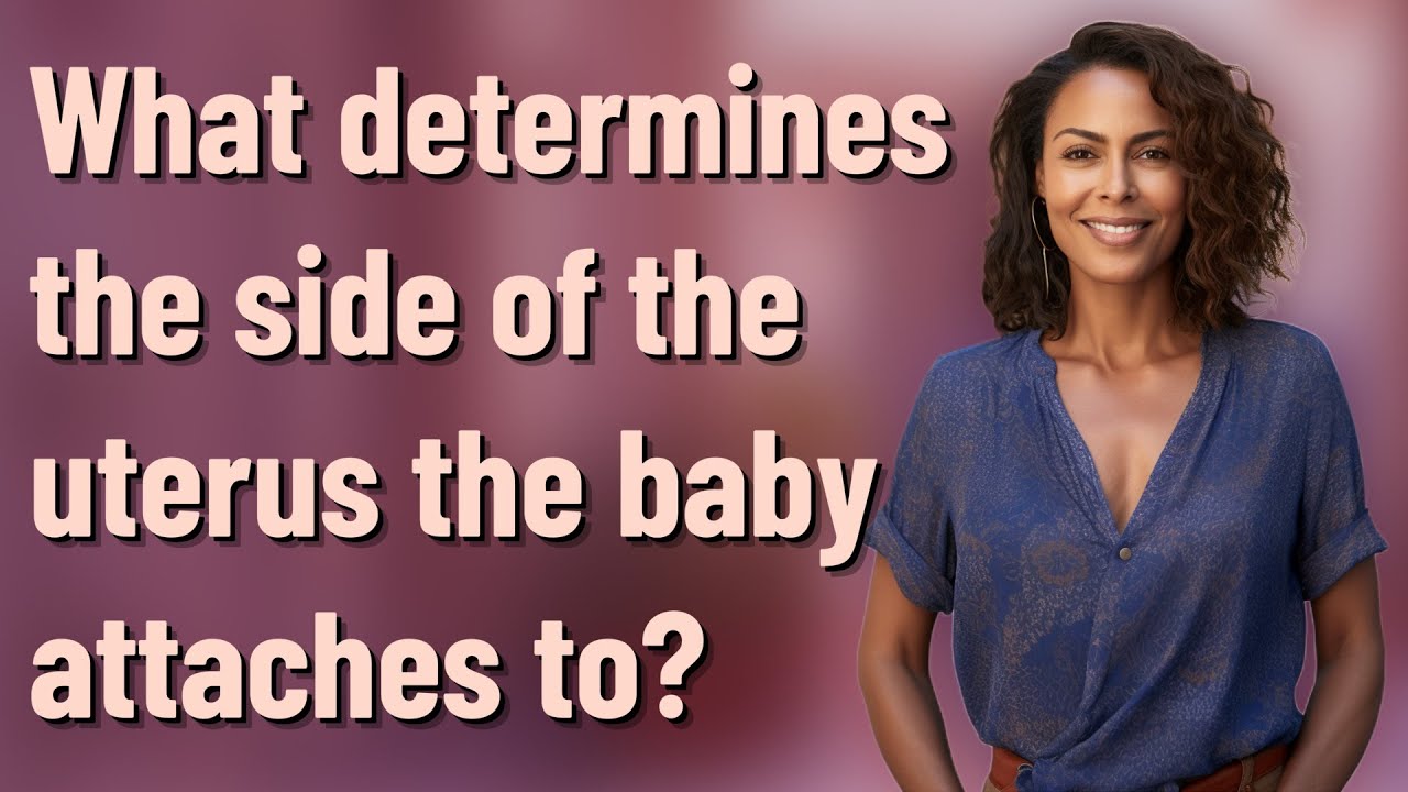 What determines the side of the uterus the baby attaches to? - YouTube