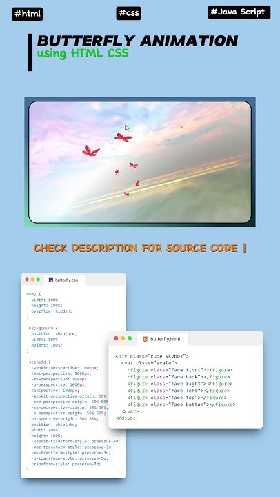 Butterfly Animation Using Html Css Html Css Coding Programming Youtube