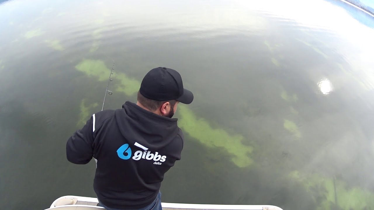 Pontoon Boat Fishing - Casting Gibbs Croc Spoons for Rainbows - YouTube