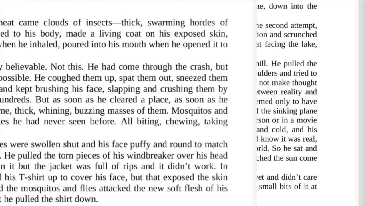 Hatchet Chapter 4 - YouTube