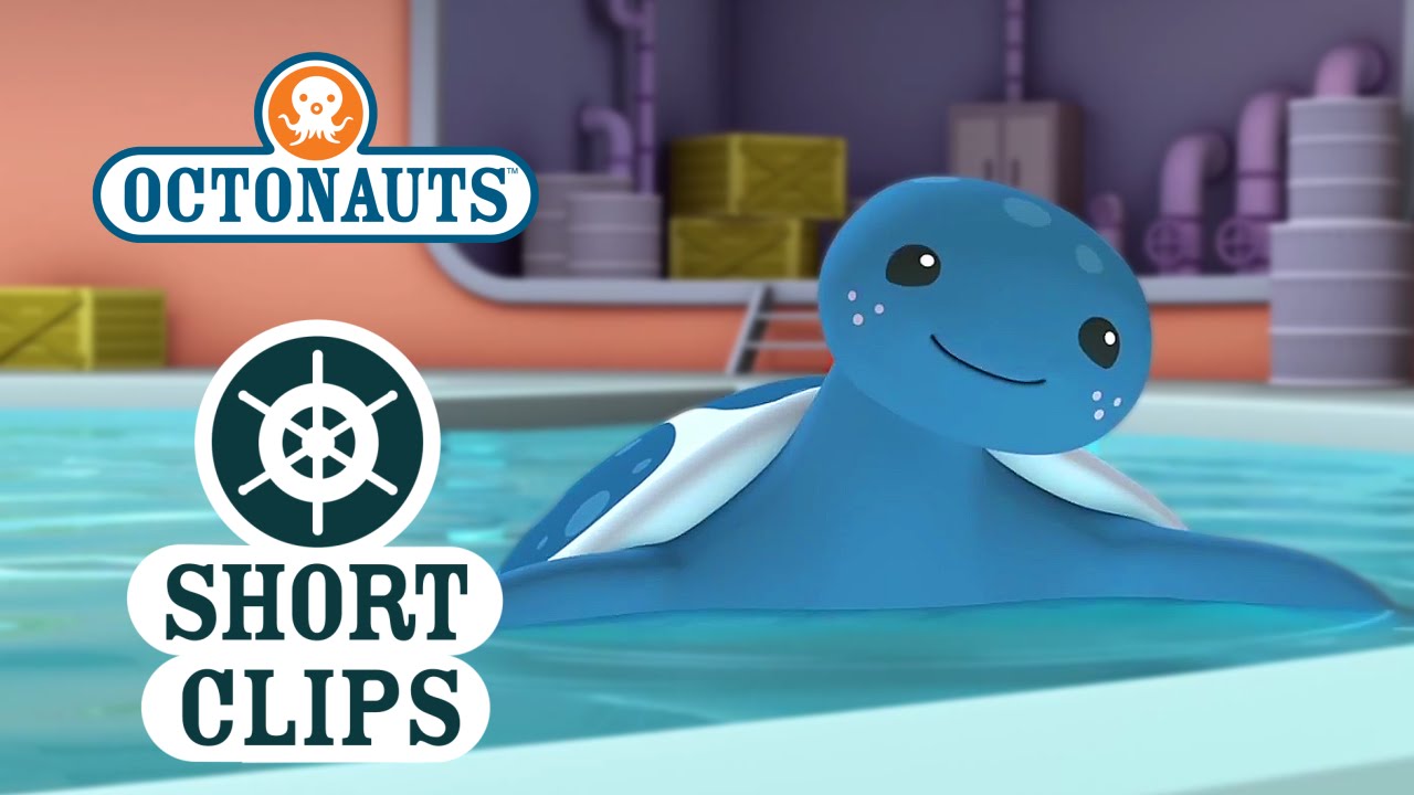 Octonauts: Learning About The Leather Back Sea Turtle - YouTube