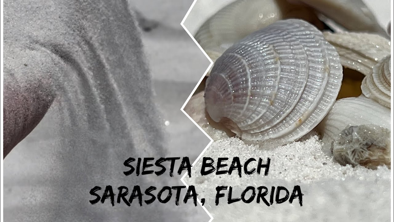FLORIDA - Siesta Beach - White Powder Quartz Sand and Turquoise Clear ...