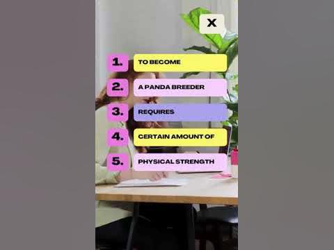 🐼🎋How can I become a giant panda breeder? - YouTube