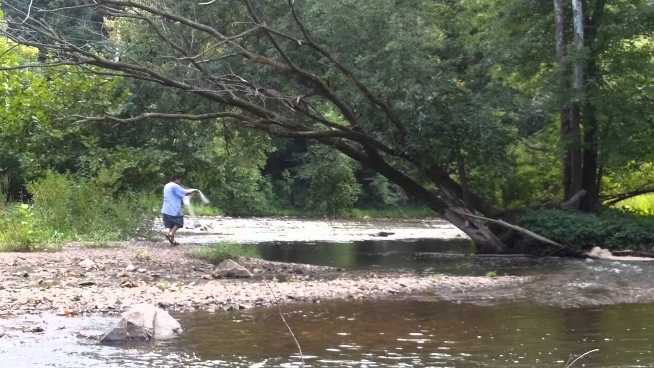 🐟🐠De pesca con tarraya 🐬🐳 - YouTube