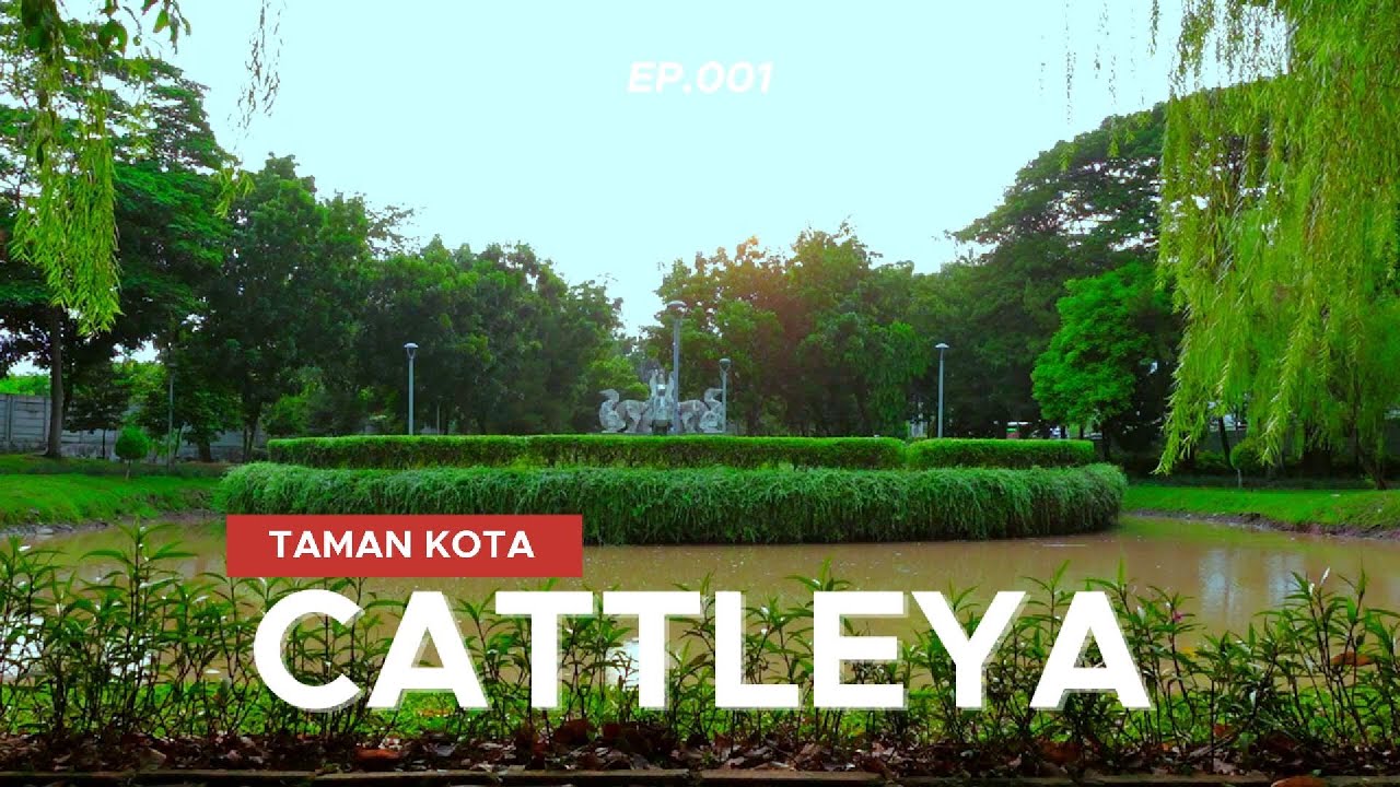 Taman Kota Cattleya | EP.001 - YouTube