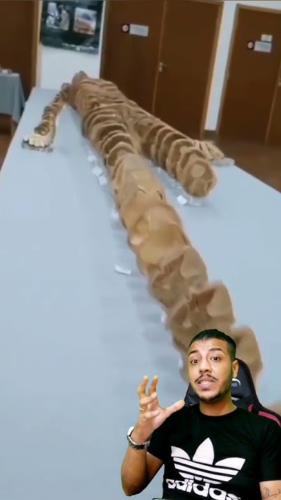 هل رأيت الانسان بشكل اخر من قبل ؟ Youtube