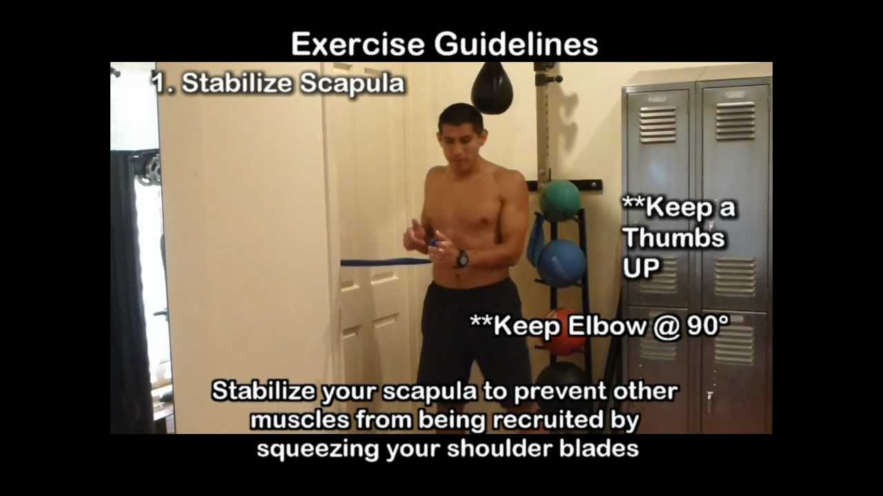 Shoulder Injuries Exercises 1 - Exercises for Shoulder Injuries - YouTube