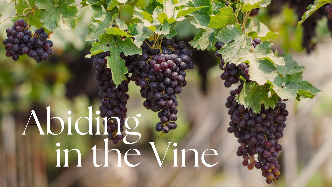 Abiding in the Vine part 1 - YouTube