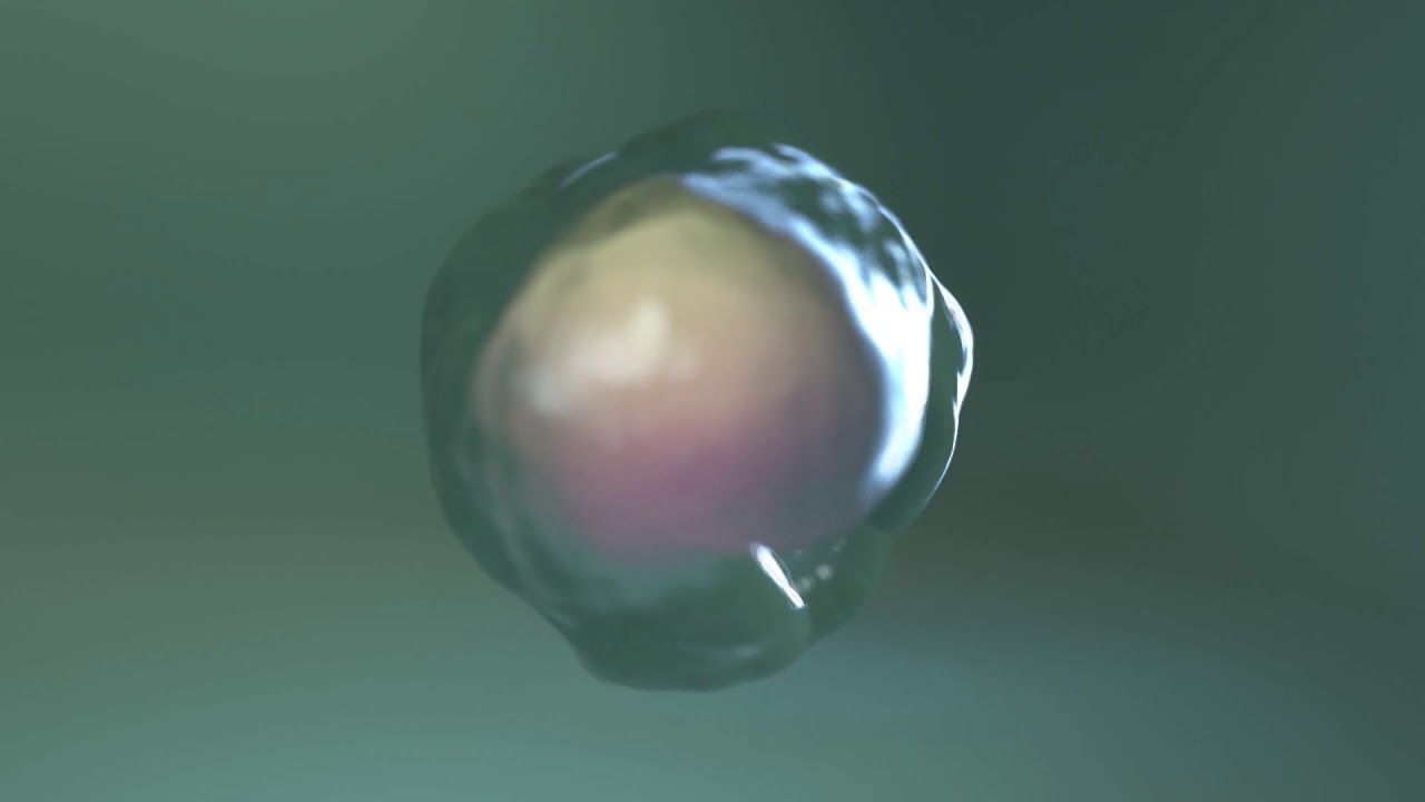 Houdini Growth Exploration - YouTube