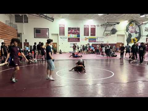 My sister try wrestling an opponent who defeated her twice before. Did she do it ? 