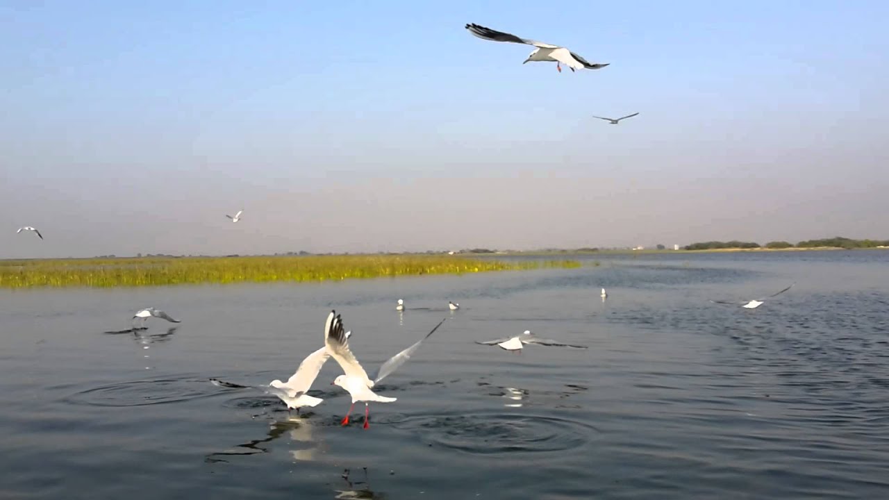 NAL SAROVAR VISIT - YouTube