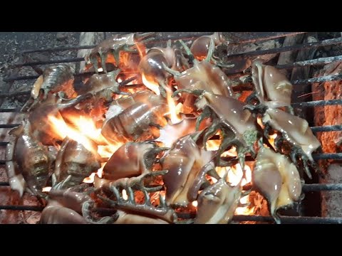 TERYATA ENAK KERANG RANGA DI BAKAR - YouTube